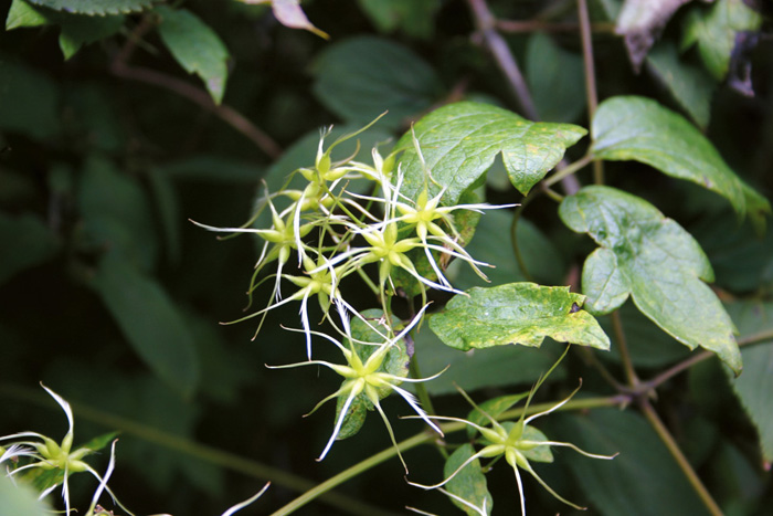 Nature You Meet in the Mountains #50 : Korea.net : The official website ...