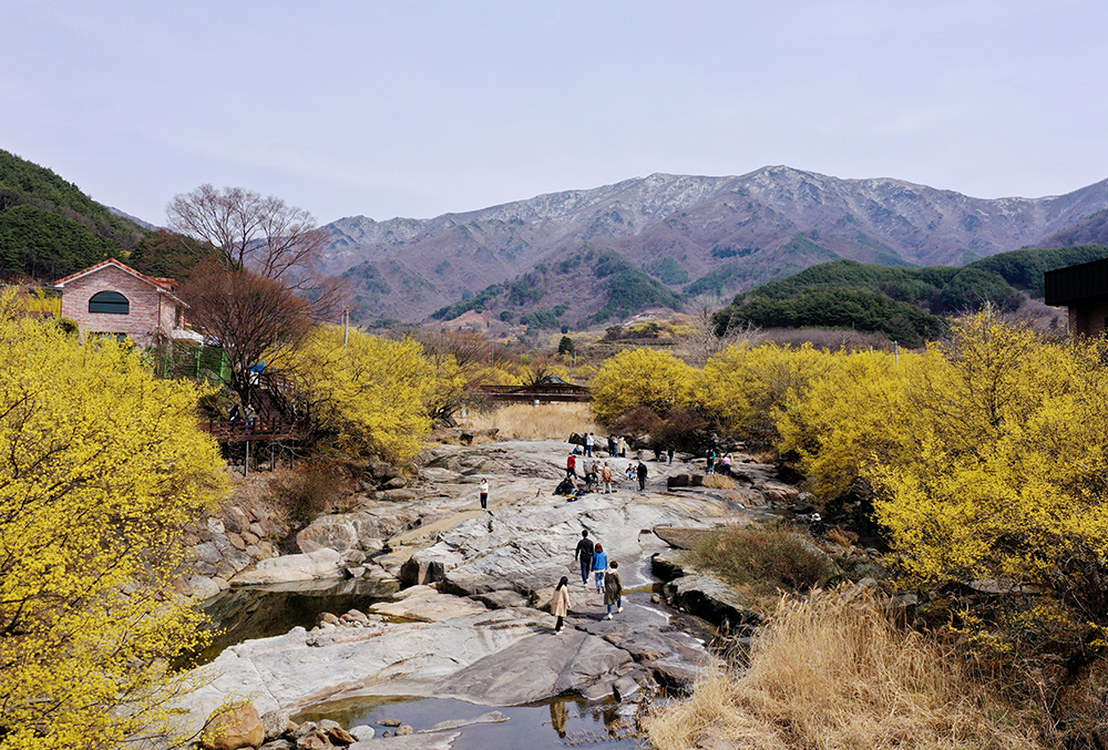Scenic view of Sansuyu Village, Jirisan Mountain on spring solstice ...
