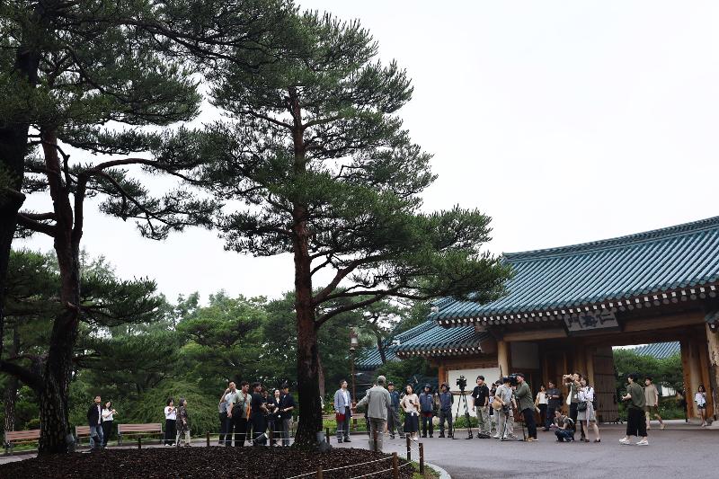 Tour of presidential trees launched at Cheong Wa Dae : Korea.net : The ...