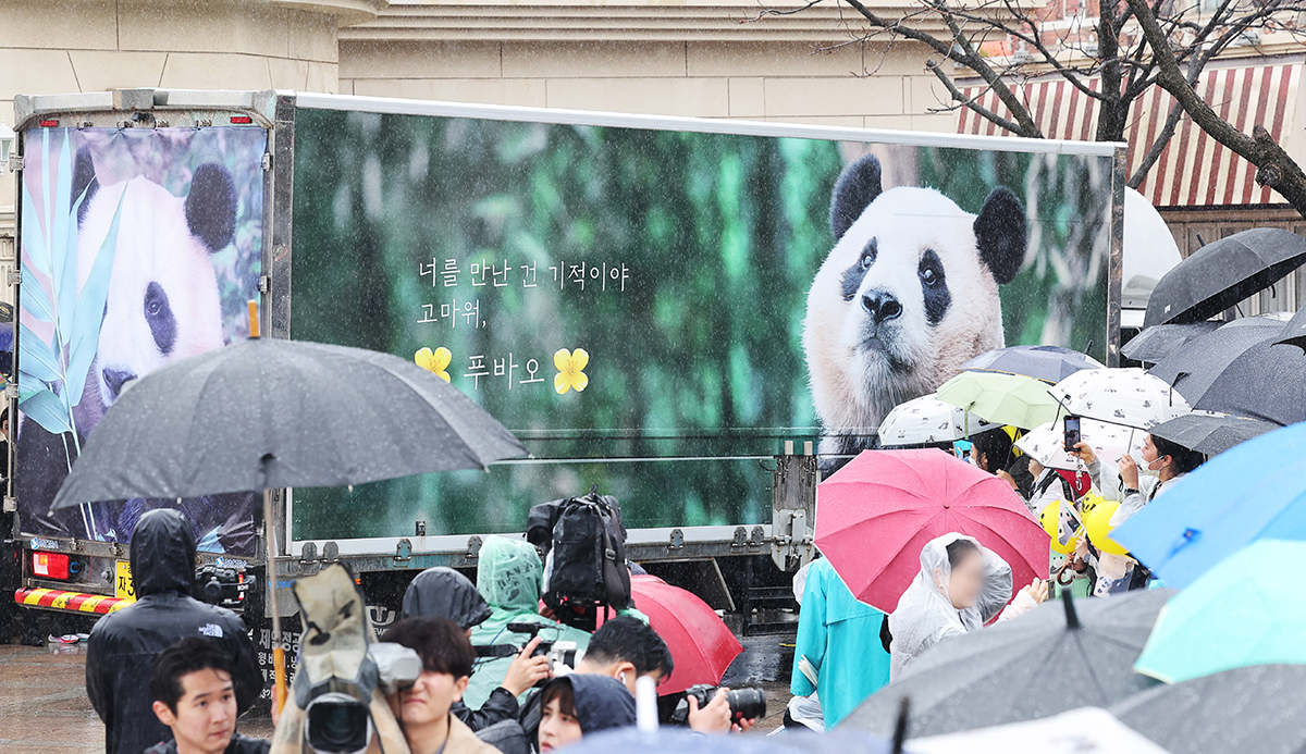 Public says goodbye to giant panda Fu Bao : Korea.net : The official ...