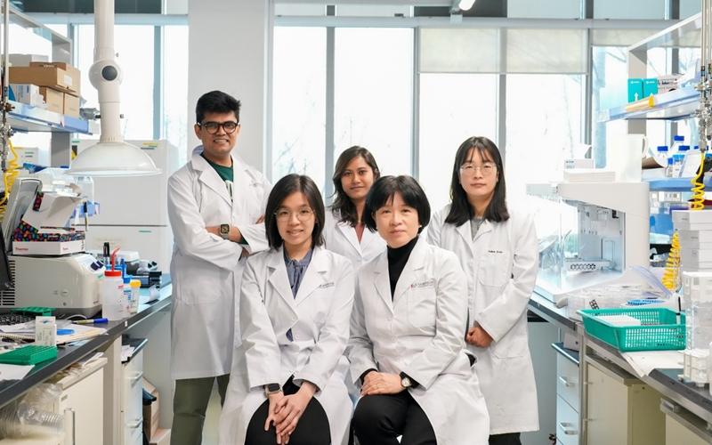 New tech detects lung cancer early with 4-5 blood drops : Korea.net ...